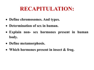 sex determination.pptx