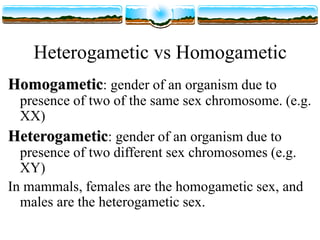 Sex Determination.ppt