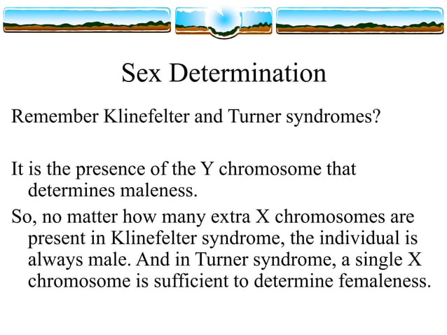 Sex Determination.ppt