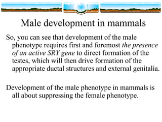 Sex Determination.ppt