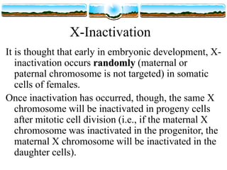 Sex Determination.ppt