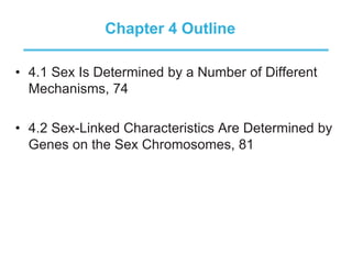 sexdetermination.ppt