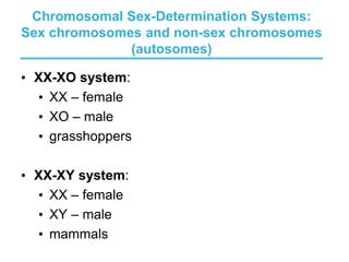 sexdetermination.ppt
