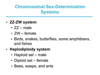 sexdetermination.ppt