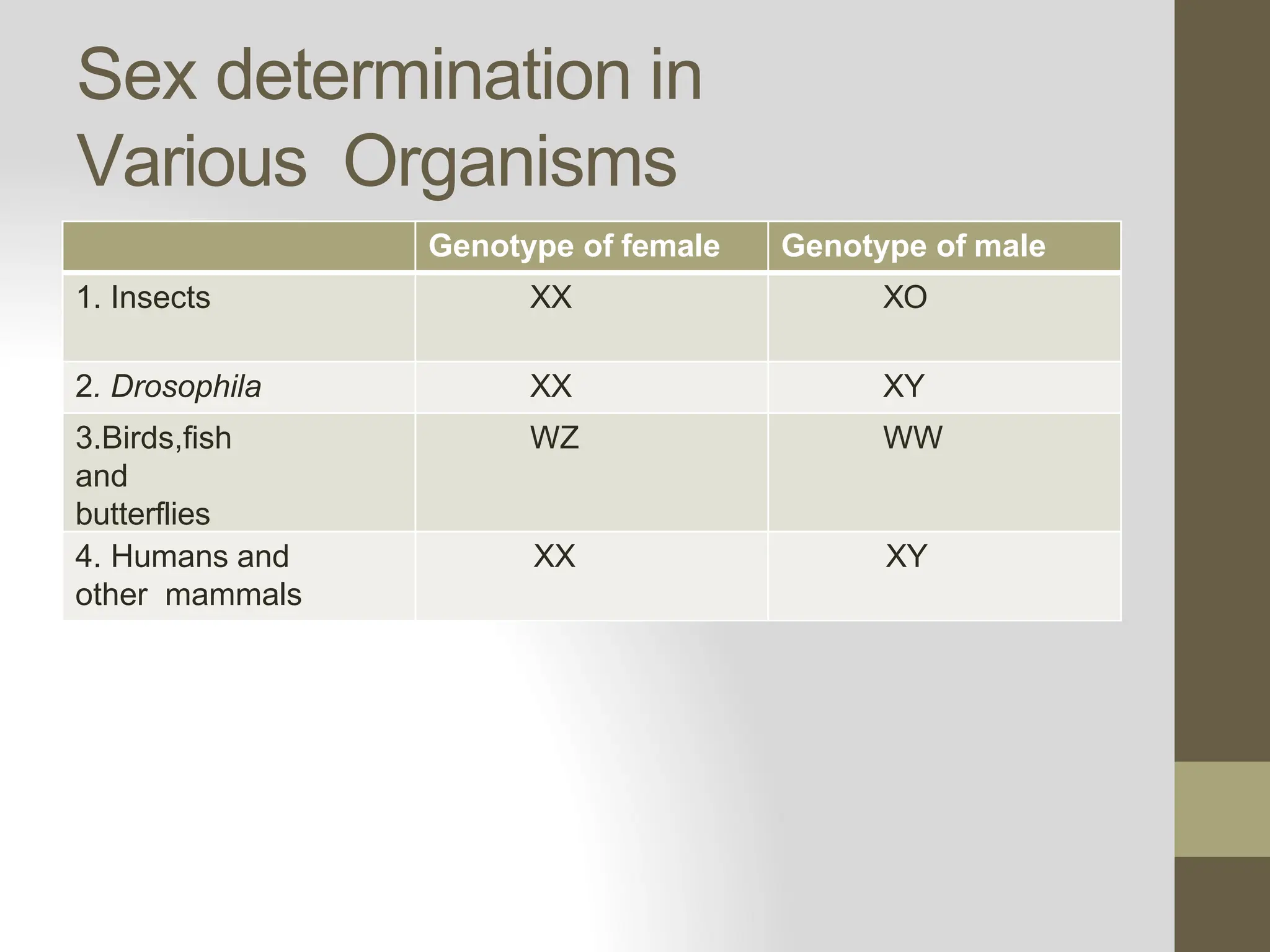SEX DETERMINATION.pptx
