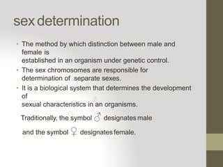 SEX DETERMINATION.pptx