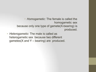 SEX DETERMINATION.pptx