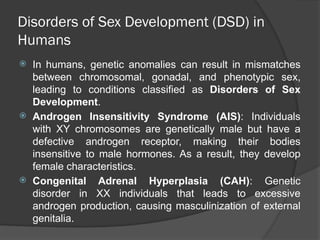 Sex Determination by Dr.M.Jothimuniyandi | PPTX