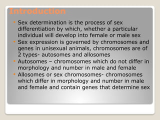 SEX DETERMINATION_052952.pptxxxxxxxxxxxxx | PPTX