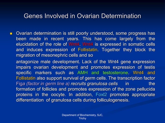 Sex Determination And Differentiation Ppt