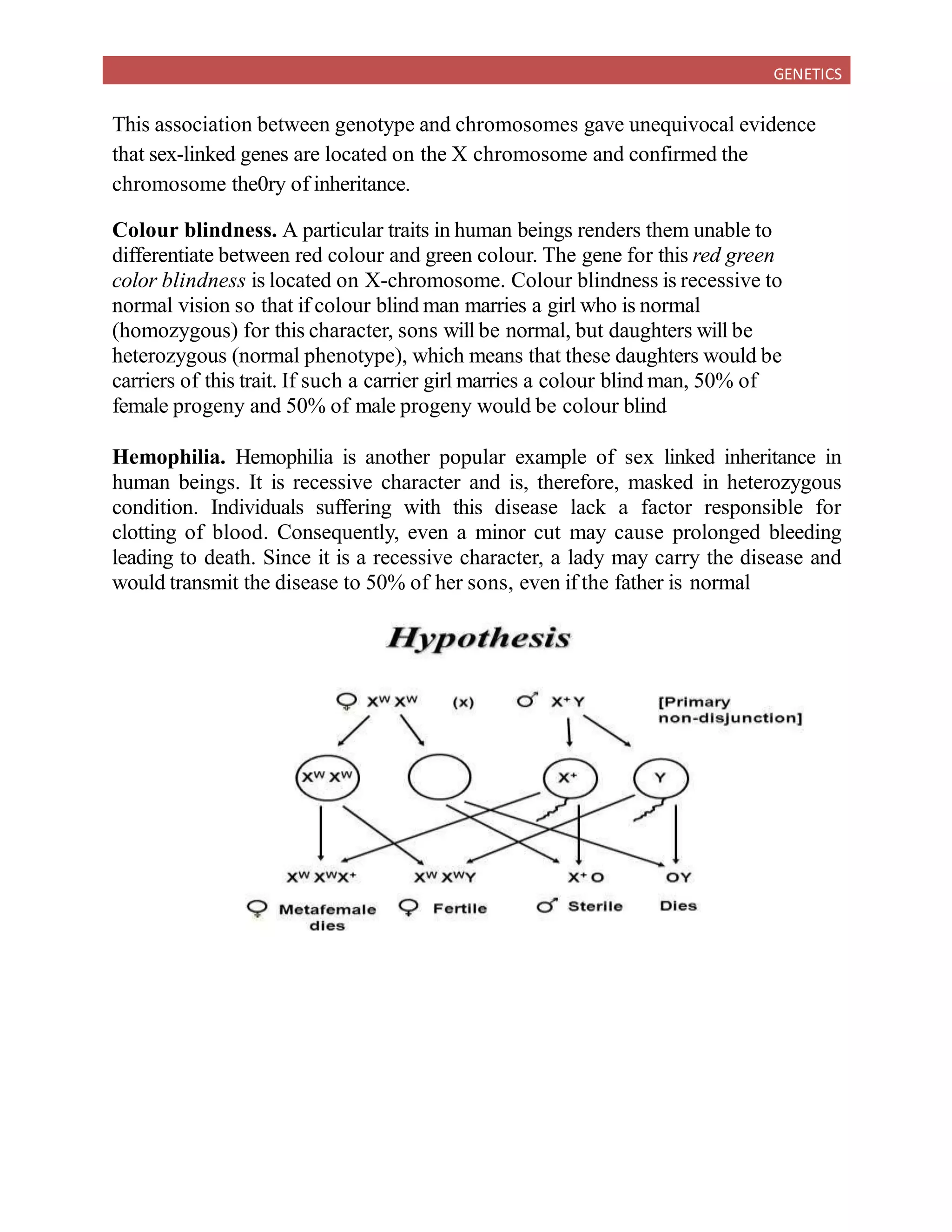 Sex determination and sexlinkedinheritance | PPTX