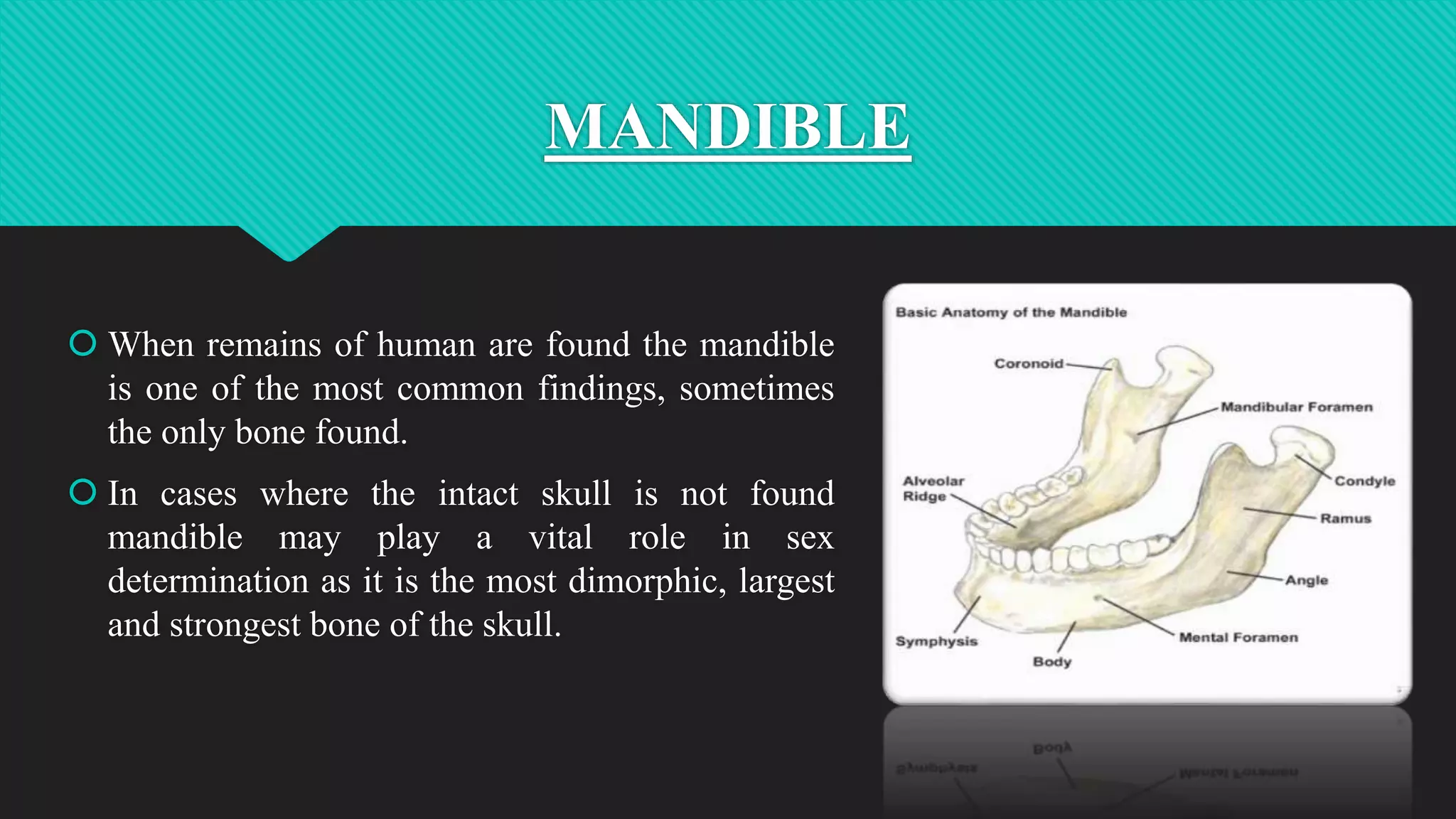 Sex determination from skull and mandible | PPTX