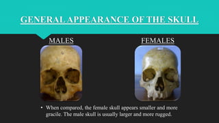 Sex determination from skull and mandible | PPTX