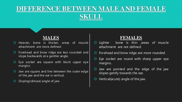 Sex Determination From Skull And Mandible
