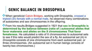 SEX DETERMINATION (GENETICS) | PDF