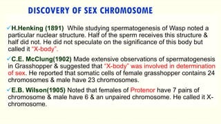 SEX DETERMINATION (GENETICS) | PDF