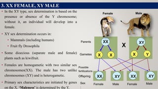 Sex determination in animals | PPTX