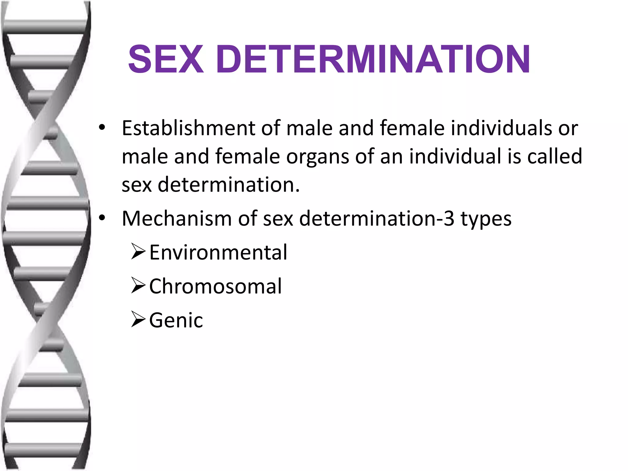 Sex determination in animals | PPTX