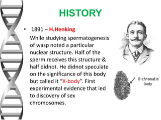 Sex determination in animals | PPTX