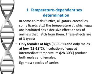 Sex determination in animals | PPTX
