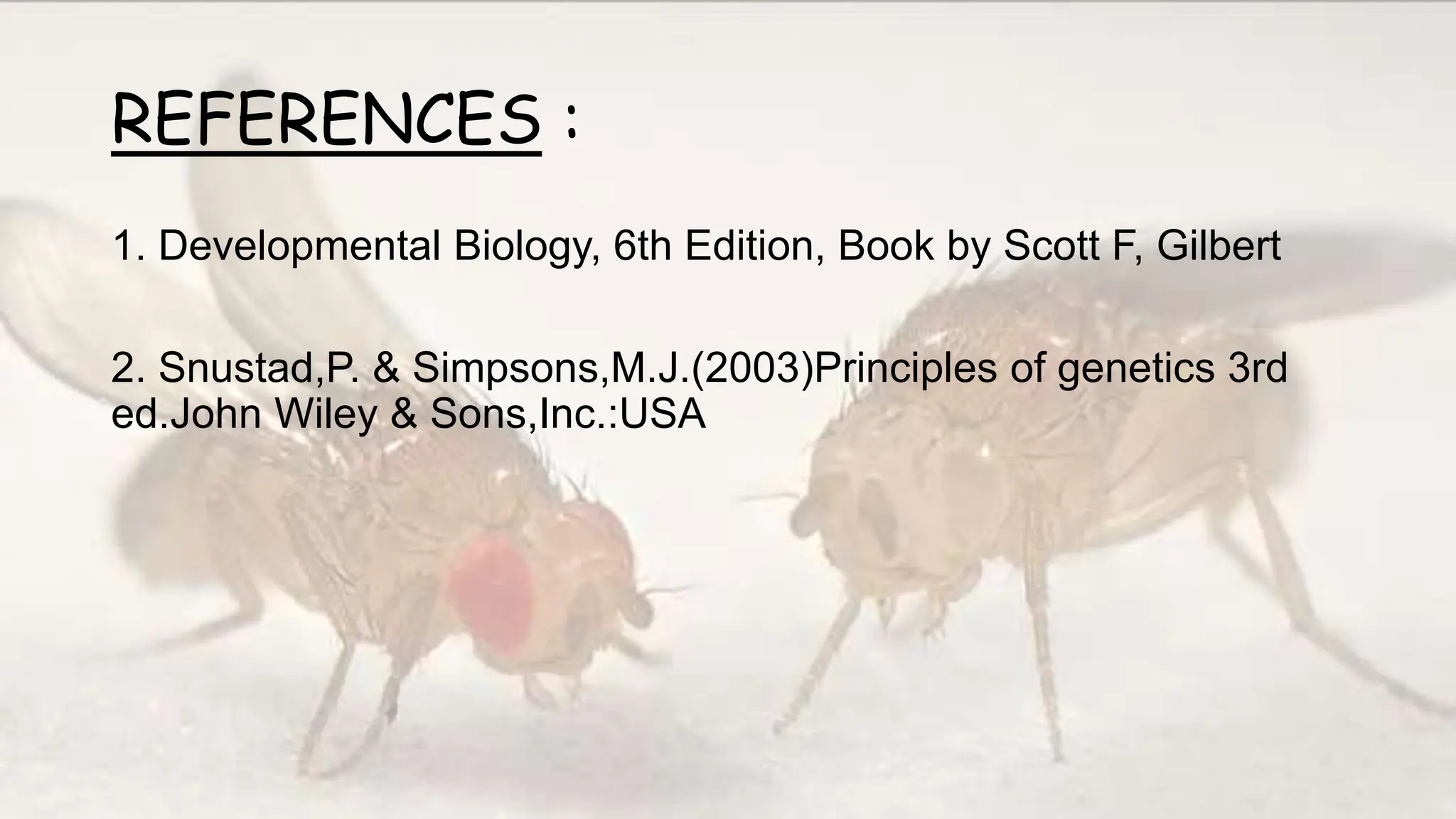 Molecular Mechanism Of Sex Determination In Drosophila.pptx