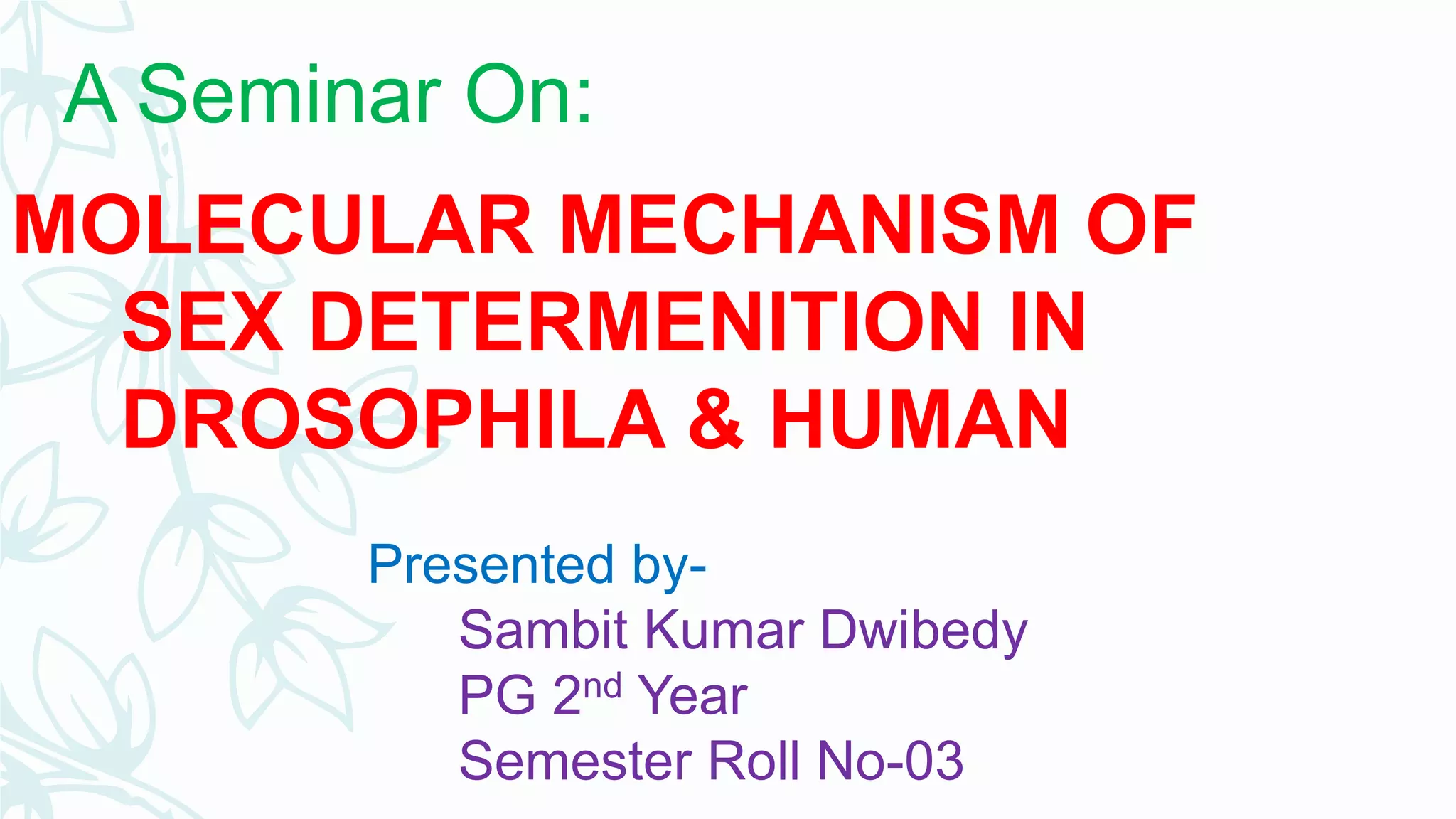 Sex Determination In Drosophila And Human Pptx Reproductive Health