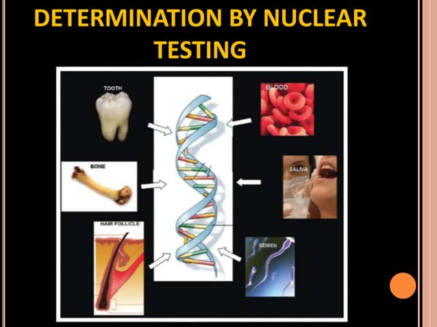 Sex Determination In Forensic Pptx