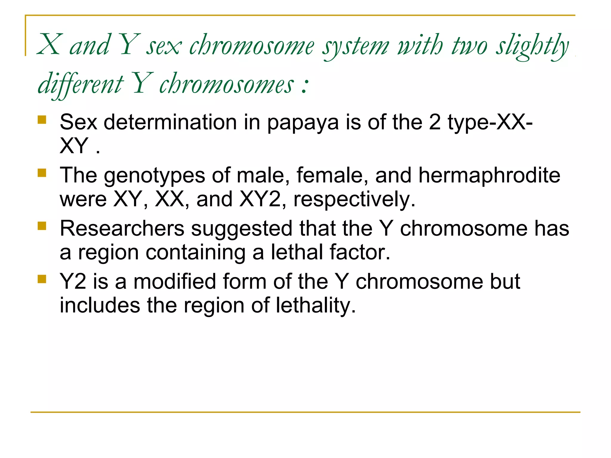Sex Determination In Papaya Ppt