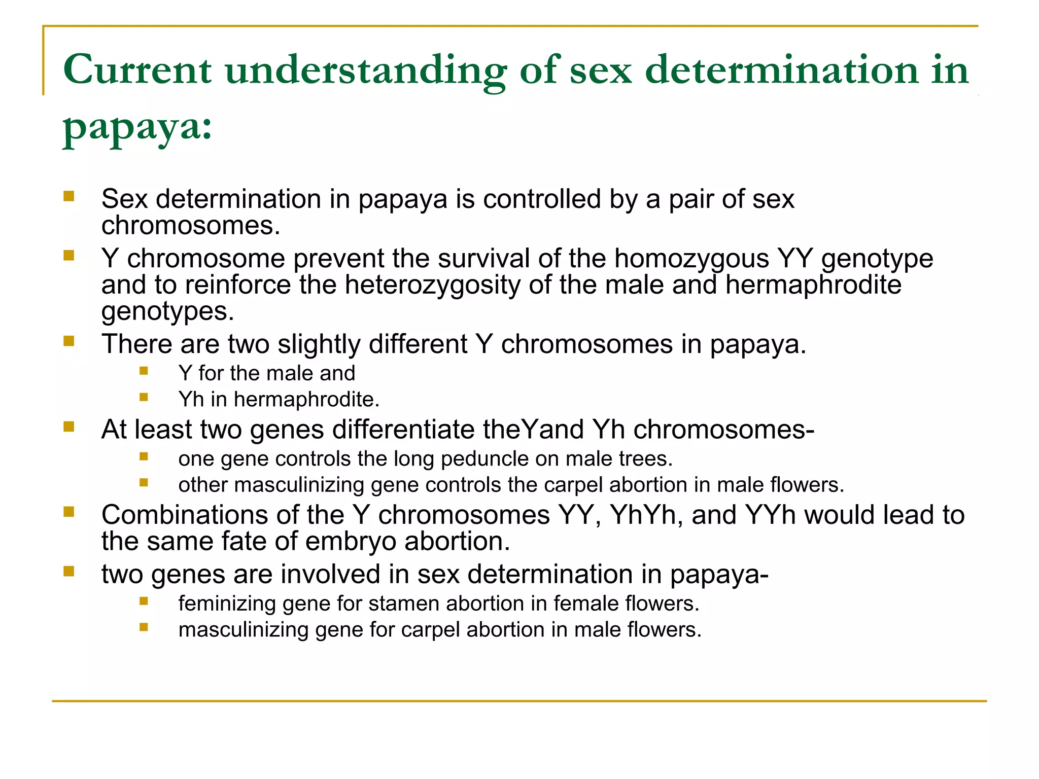Sex Determination In Papaya Ppt