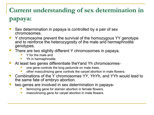 Sex Determination In Papaya Ppt