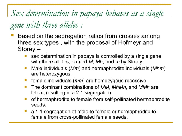 Sex Determination In Papaya Ppt