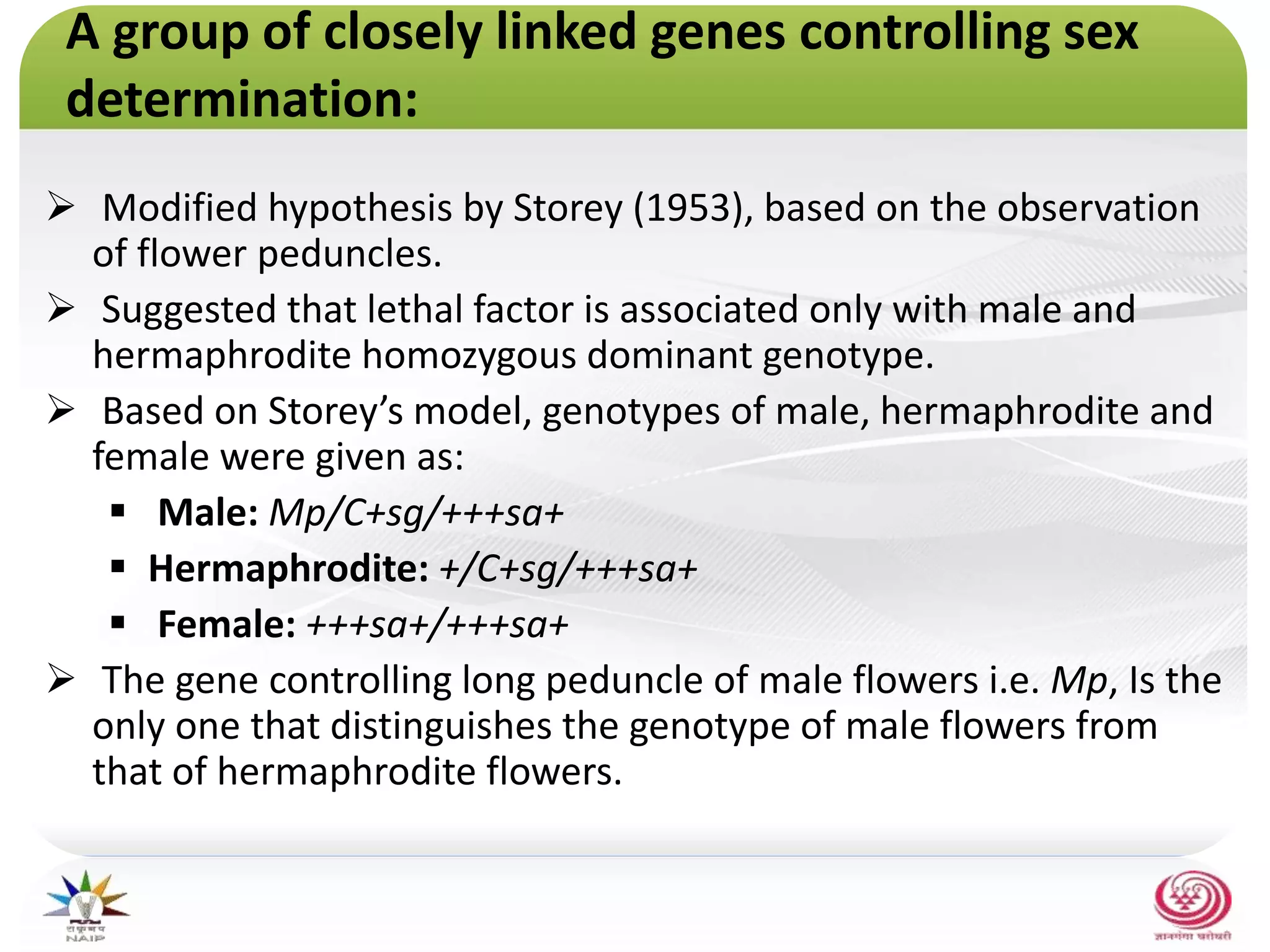 Sex Determination In Papaya Pptx Reproductive Health Diseases And Conditions