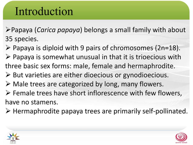 Sex Determination In Papaya Pptx Reproductive Health Diseases And Conditions