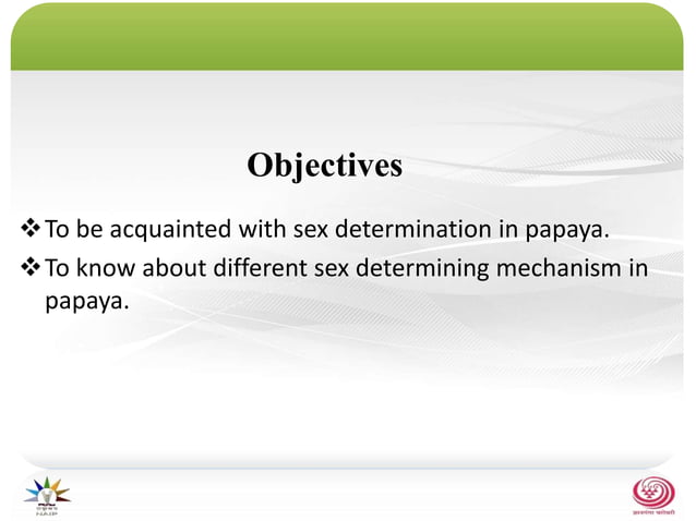 Sex Determination In Papaya Ppt