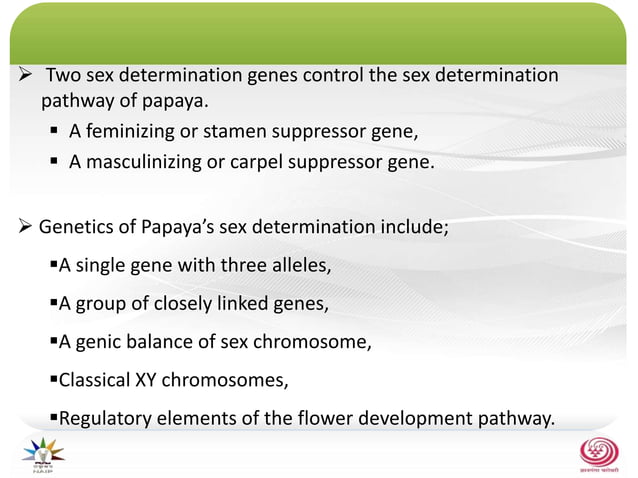 Sex Determination In Papaya Ppt