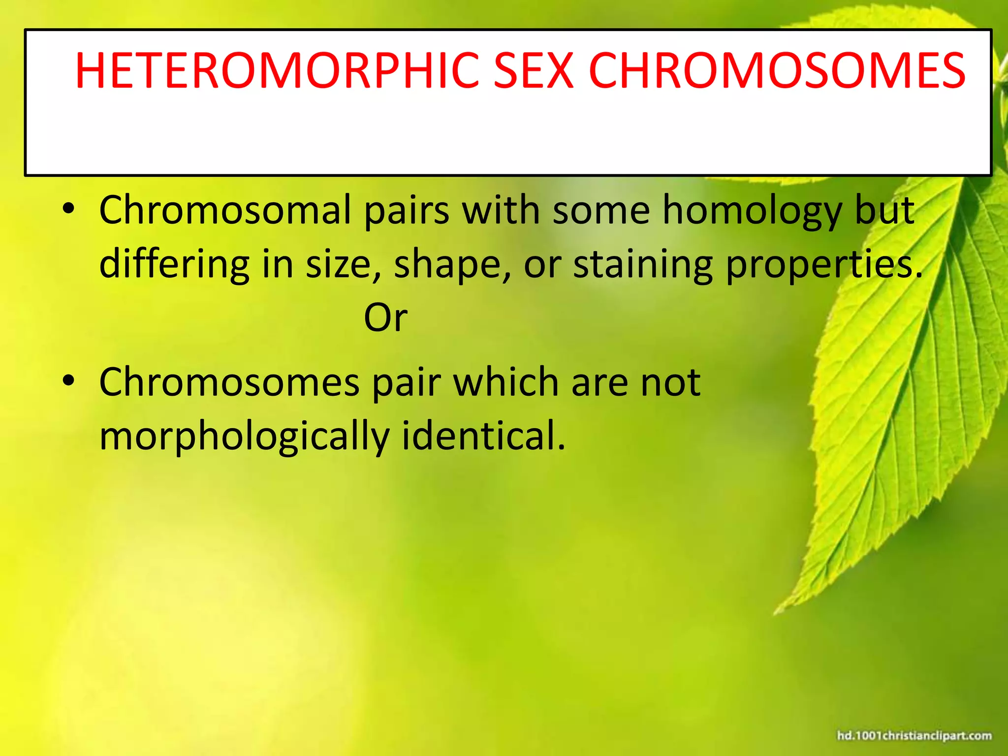 Sex determination in plants | PPTX