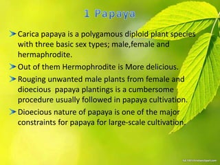 Sex determination in plants | PPTX