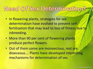 Sex determination in plants | PPTX