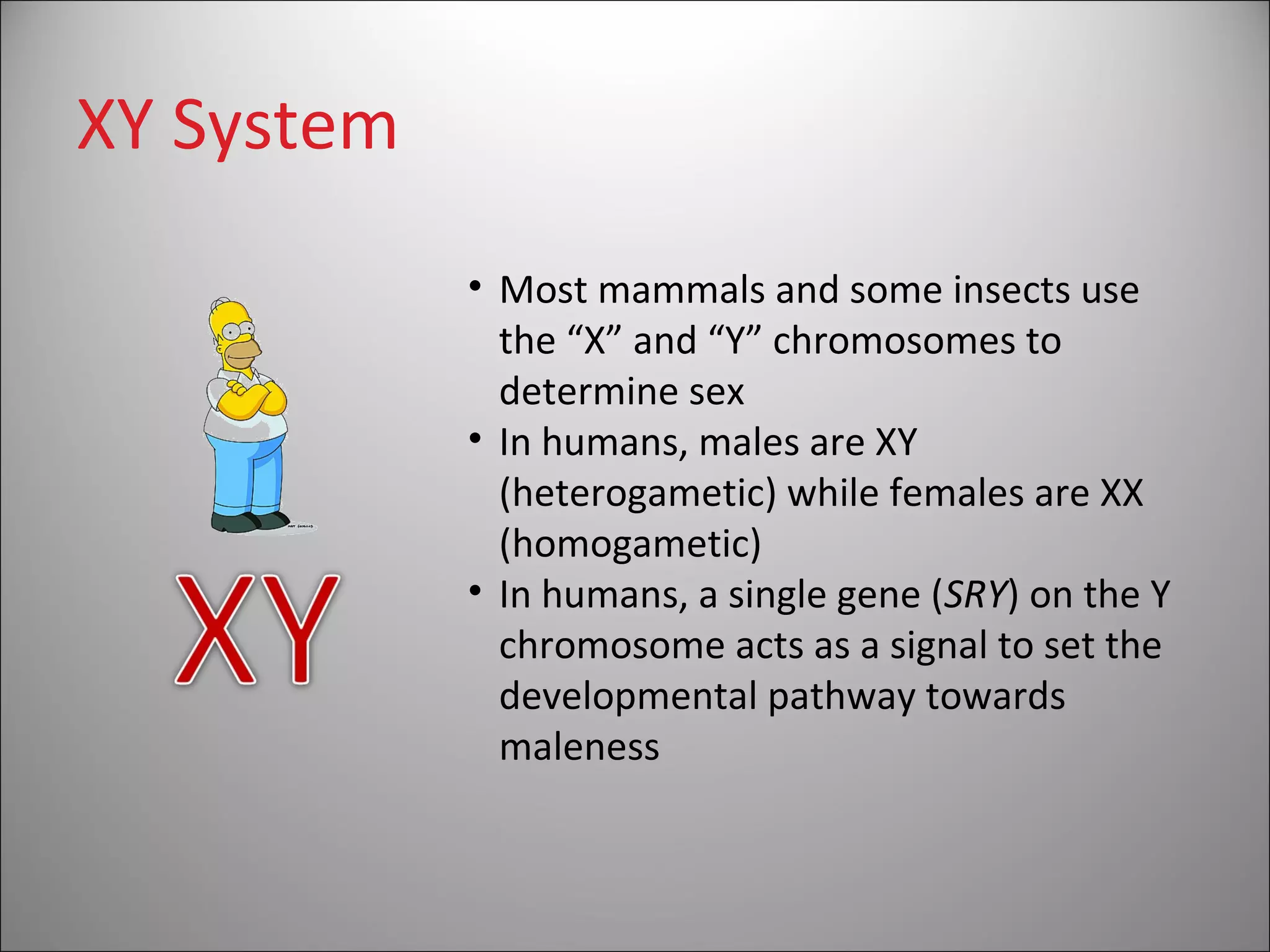 Sex determination & linkage | PPT