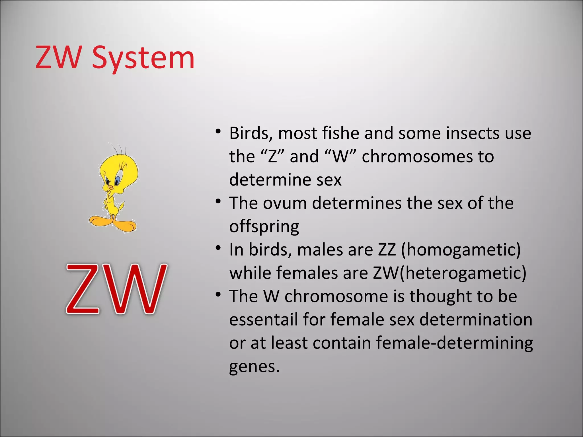 Sex Determination And Linkage Ppt