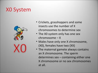 Sex determination & linkage | PPT