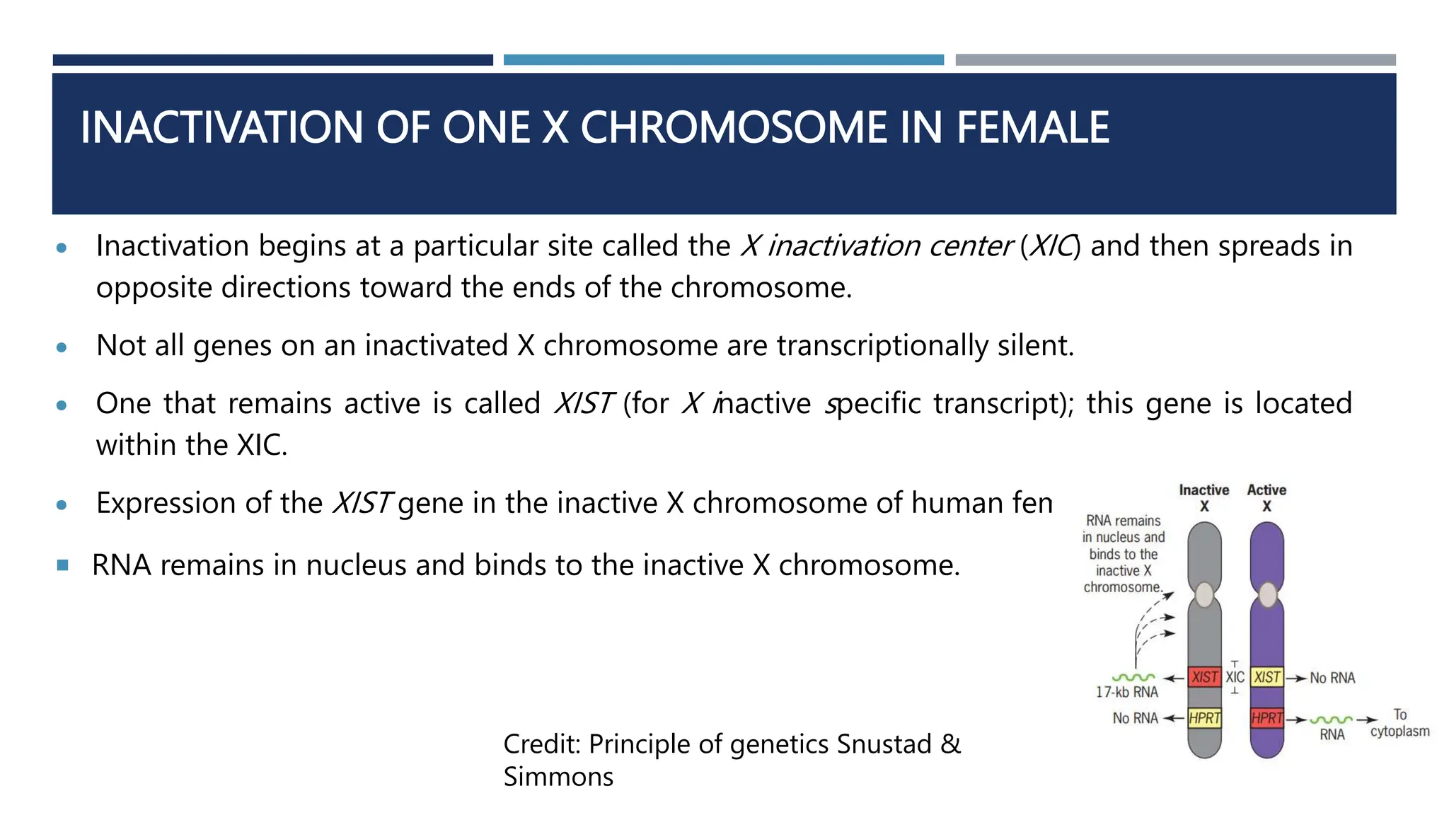 SEX DETERMINATION & LINKAGE.pptx