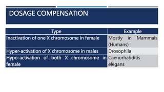 SEX DETERMINATION & LINKAGE.pptx