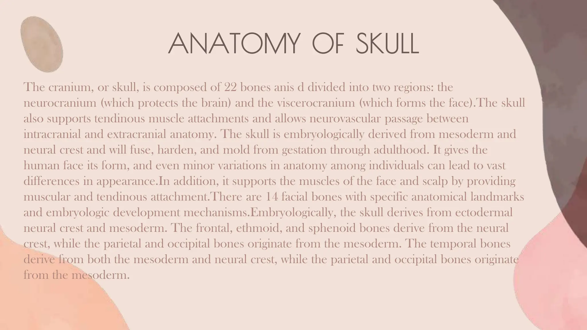 sex determination through human skull.pptx