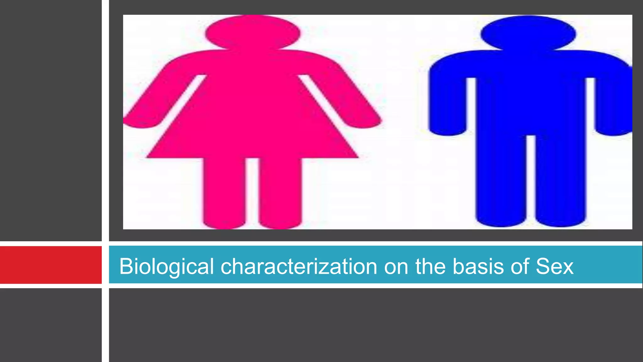 Sex Determination Using Anthropometric Methods Pptx Bone And Joint
