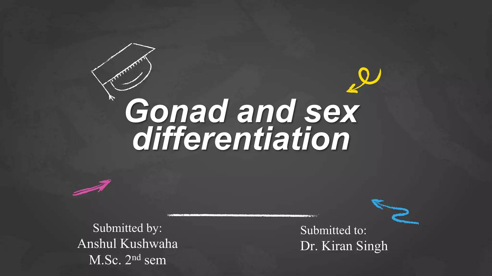 gonad and Sex differentiation in human | PPTX
