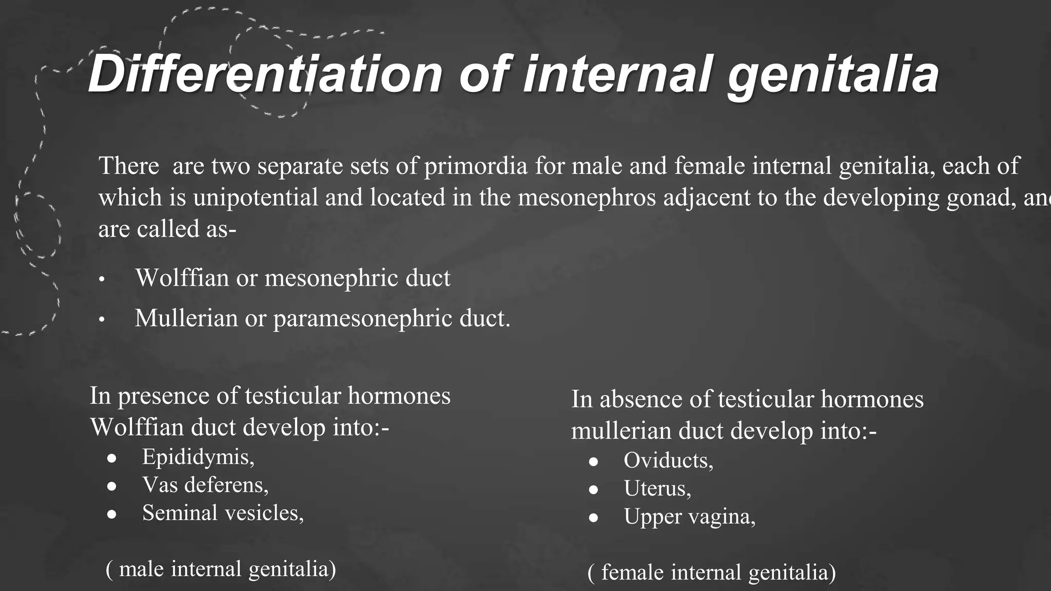 gonad and Sex differentiation in human | PPTX
