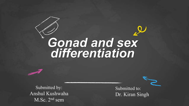 gonad and Sex differentiation in human | PPT