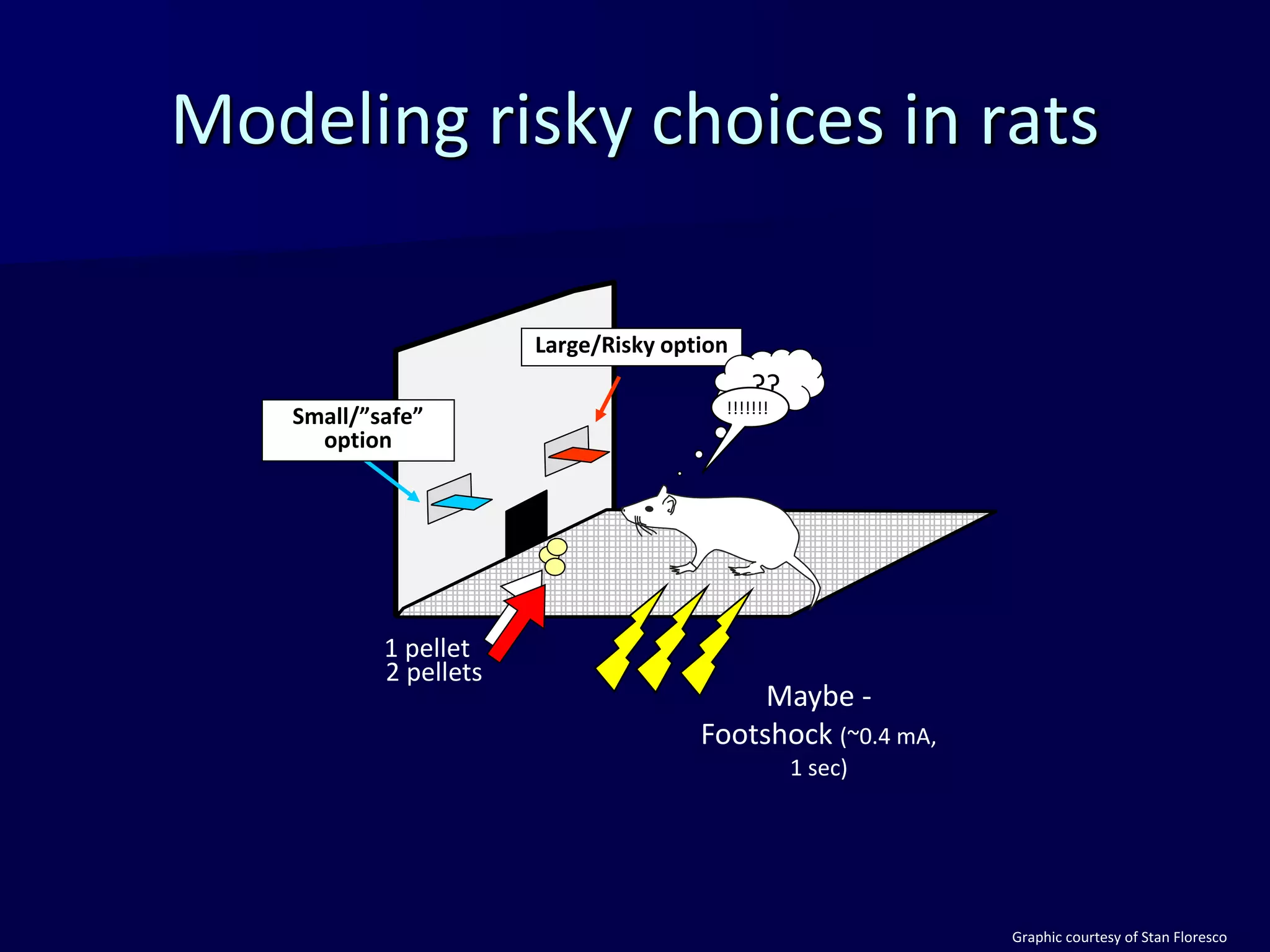 Sex, Drugs, and Bad Choices: Modeling Human Decision Making in Rats | PPTX