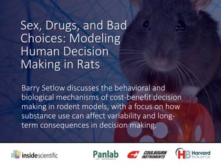 Sex, Drugs, and Bad Choices: Modeling Human Decision Making in Rats | PPT